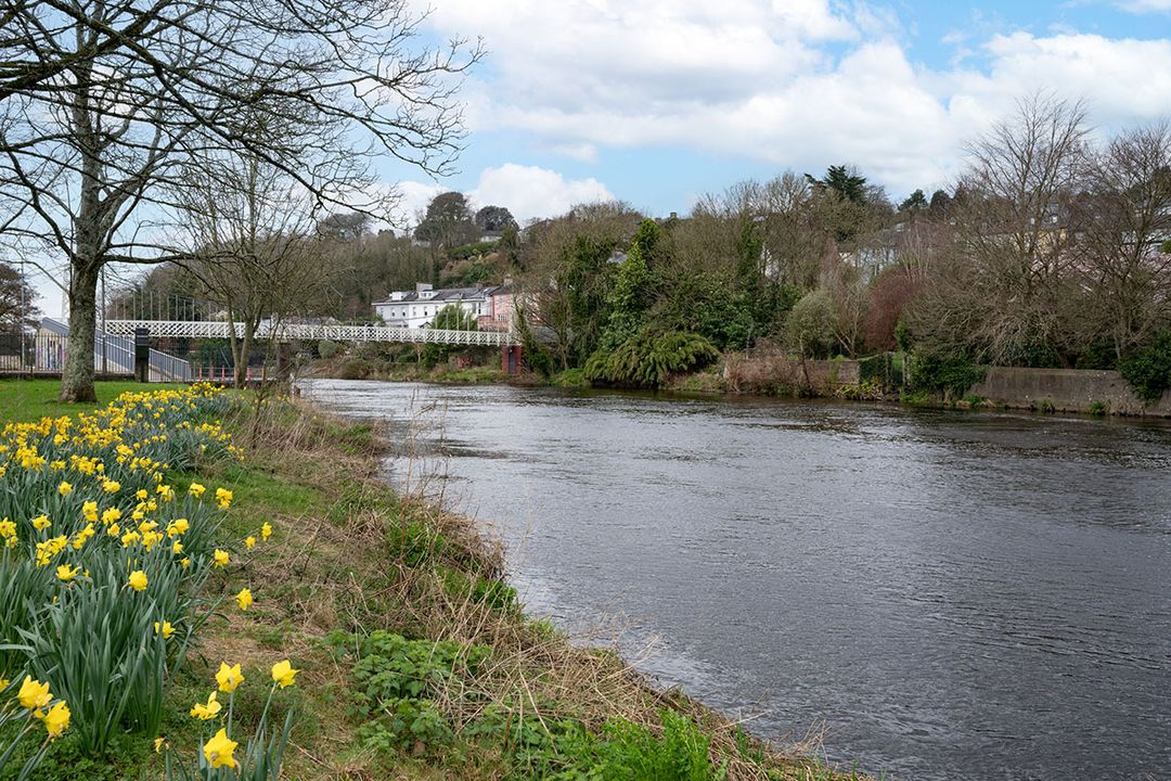 Millboro | Beautifully Designed Family Homes | Kerry Pike, Cork